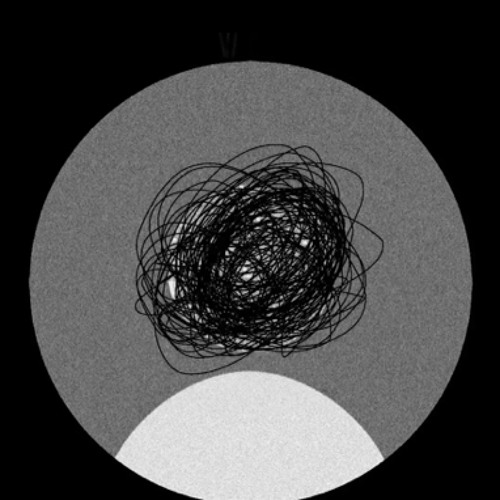 Stream PFP (prod. Heyarnold) by make him bleed | Listen online for free ...