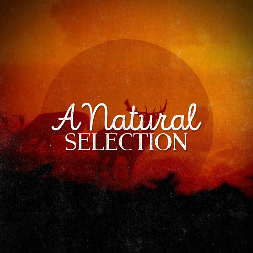 Stream Nature Sounds Nature Music | Listen to A Natural Selection ...