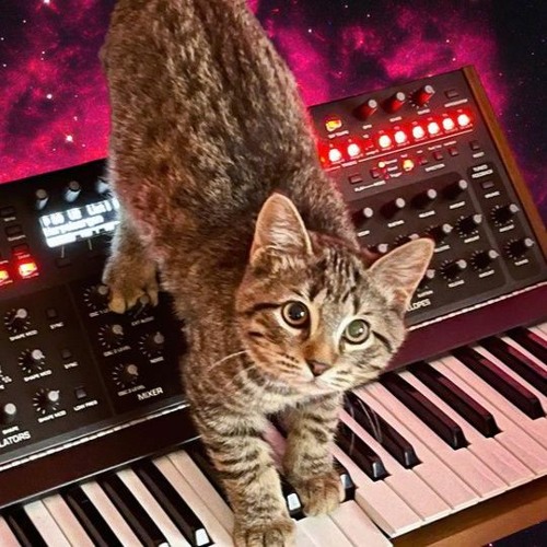 Stream ABC 3.30.23 4th by The Cat Museum | Listen online for free on ...