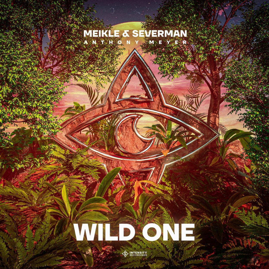 Stream Meikle, Severman & Anthony Meyer - Wild One by Intensity ...