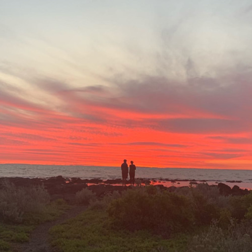 Stream Tropical Percussion Mix by Sasanka Ariyasinghe | Listen online ...