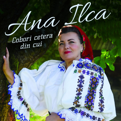 Stream Spusu-mi-o Mama De Mic (feat. Alin Victor Muresan) by Ana Ilca ...