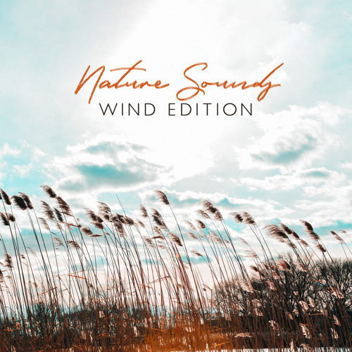 Stream Natural Sounds Music Academy | Listen to Nature Sounds: Wind ...