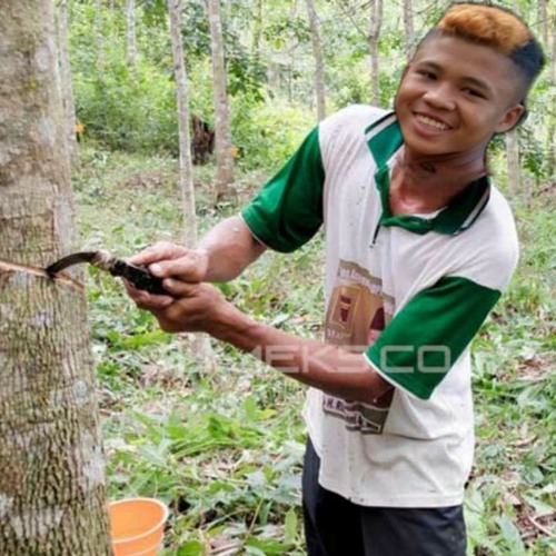 Stream NUAN ATE CEDA #SUPER MAREK -[ REZA TARIGAN X SIMSON GINTING FT ...