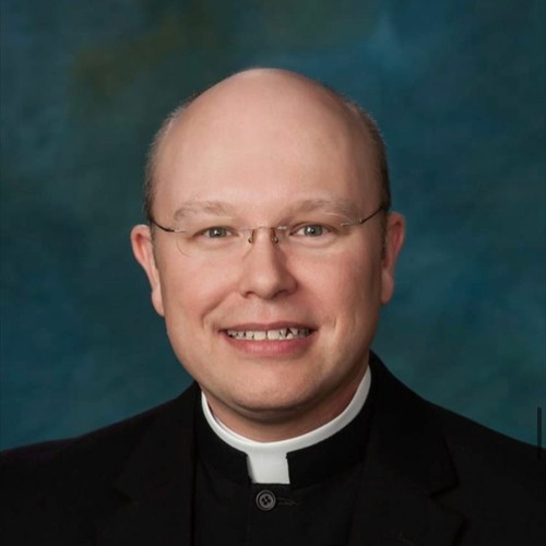 Stream Father Mark Ledoux On The Cause For Father Verbis Lafleur by ...