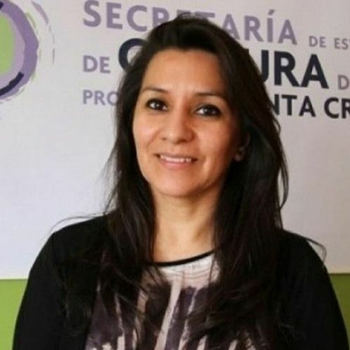 Stream Corina Viacaba, Dir. de la Escuela Provincial de Danzas de Santa ...