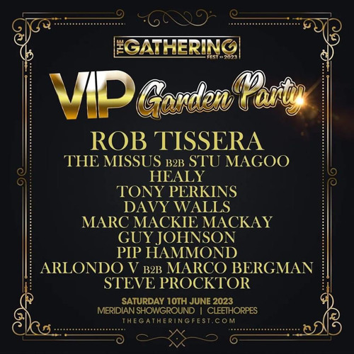 Stream The Gathering Fest 2023 HEALY VIP STAGE PROMO by HEALY | Listen ...