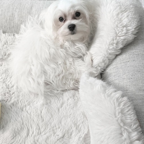 Stream episode Mark's Commercial Demo by Mark Guard podcast | Listen ...