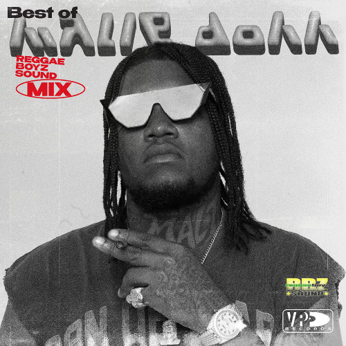 Stream Best of Malie Donn | Dancehall Mix | Reggae Boyz Sound by VP ...