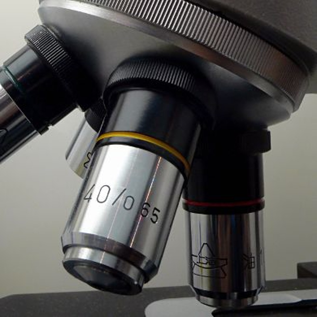 Stream episode #12: Scibernia - Science Teachers Ireland by Guth ...