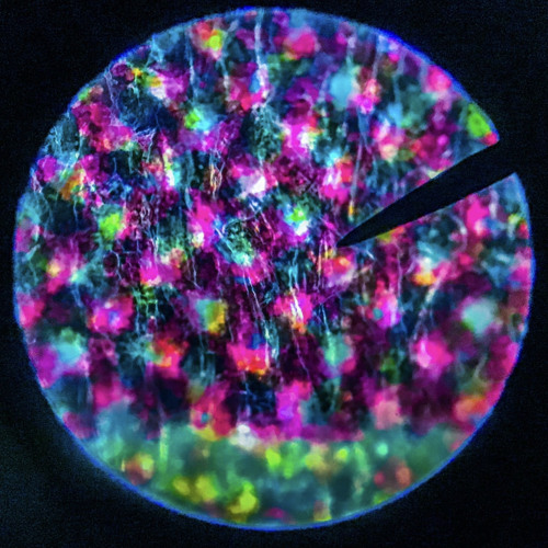 Stream daycrusher | Listen to colors and sounds, shapes and sizes ...