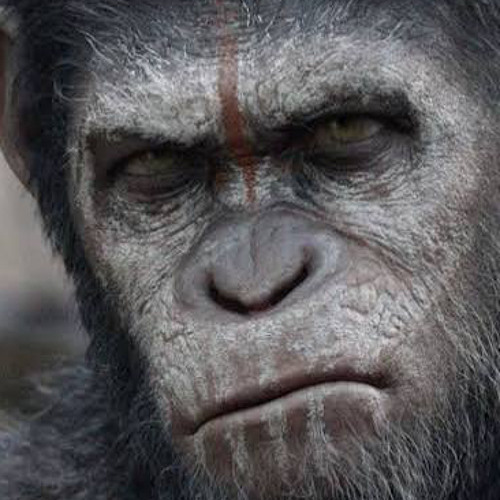 Stream Meet da APE (fast) by Jett | Listen online for free on SoundCloud