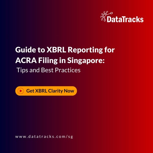 Stream episode Guide To XBRL Reporting For ACRA Filing by DataTracks ...