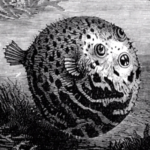 Stream Distorted Image by A Bad Earth Connection | Listen online for ...