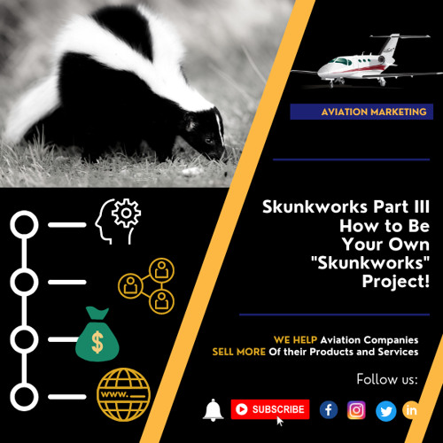Stream How to Be Your Own Skunkworks Project! by Paula Williams | Listen online for free on ...