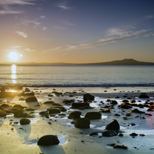 Stream Earth Connection: Root Chakra Music by Alchemystic | Listen ...