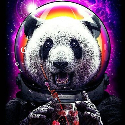 Stream Not Like Us (SPACE_PANDA SHADOSE HYPERPOP REMIX) by Shadose ...