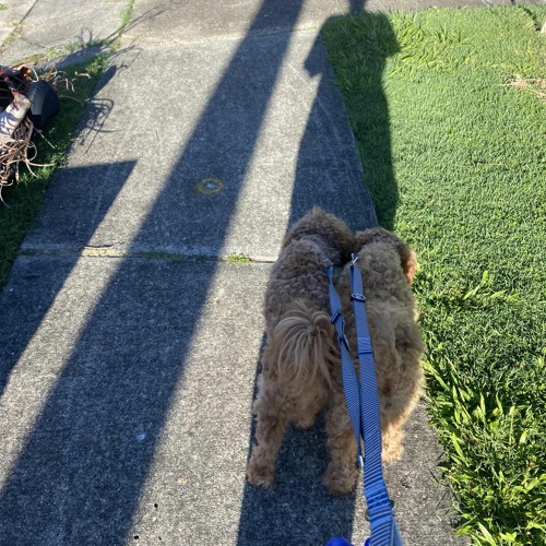 Stream maya.bray | Listen to 🌟 playlist online for free on SoundCloud