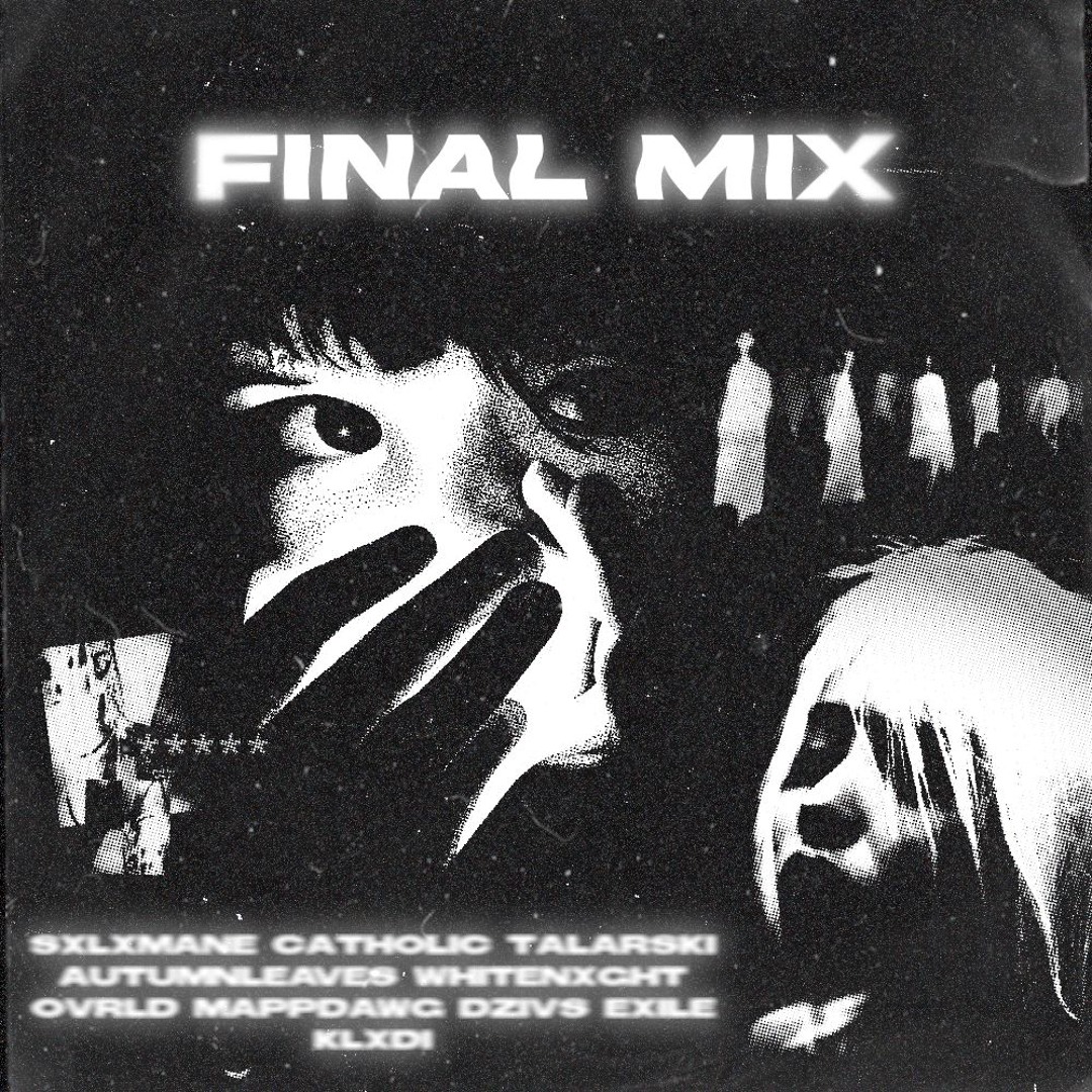 Stream FINAL MIX by POLISH PHONK COLLECTIVE | Listen online for free on ...