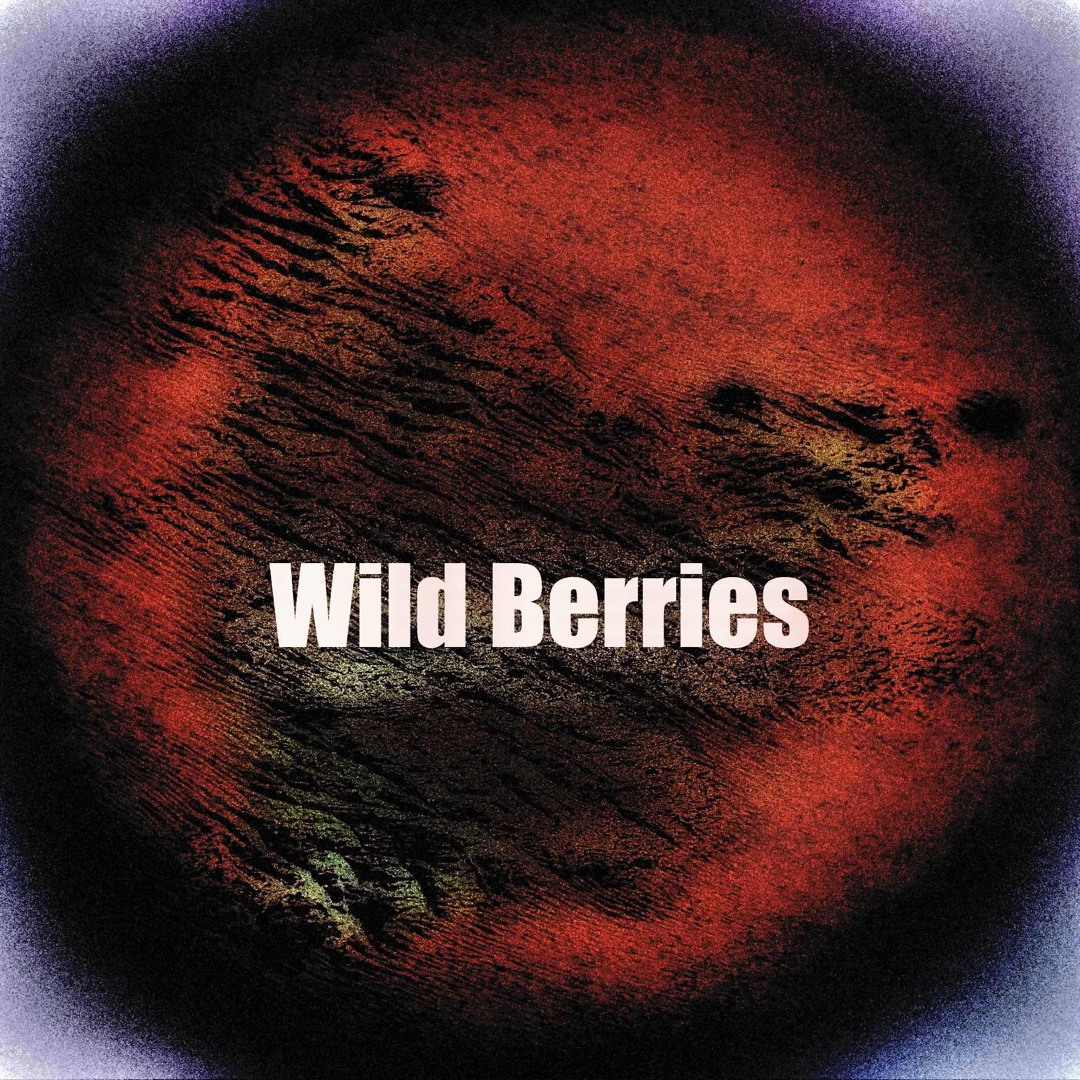 Stream Wild berries by Hum Ann | Listen online for free on SoundCloud