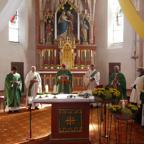 Stream Visitation im Pfarrverband Mitterskirchen - Predigt von Bischof ...