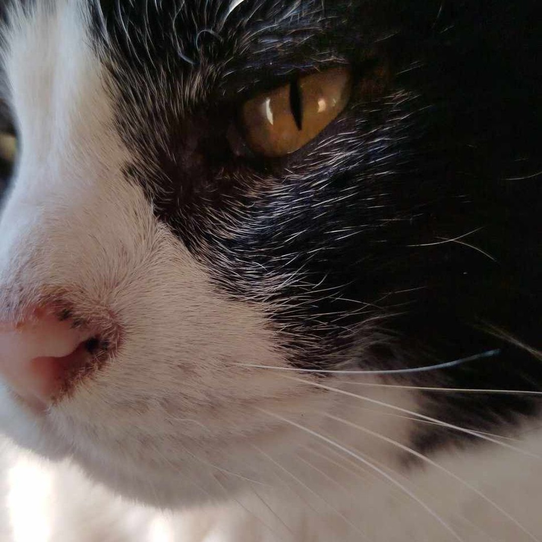 Stream Saverios | Listen to Jungle drum n bass mix playlist online for ...