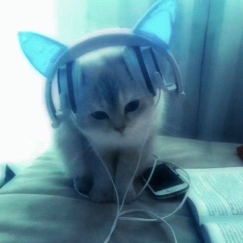 Stream Lucas | Listen to sula 3 playlist online for free on SoundCloud