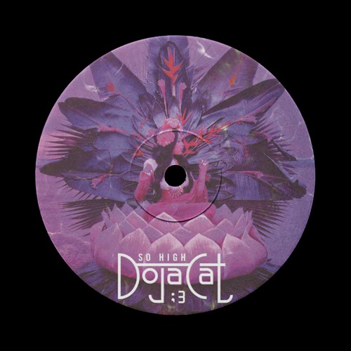 Stream Doja Cat - So High ( Lascu Edit ) by Lascu | Listen online for ...