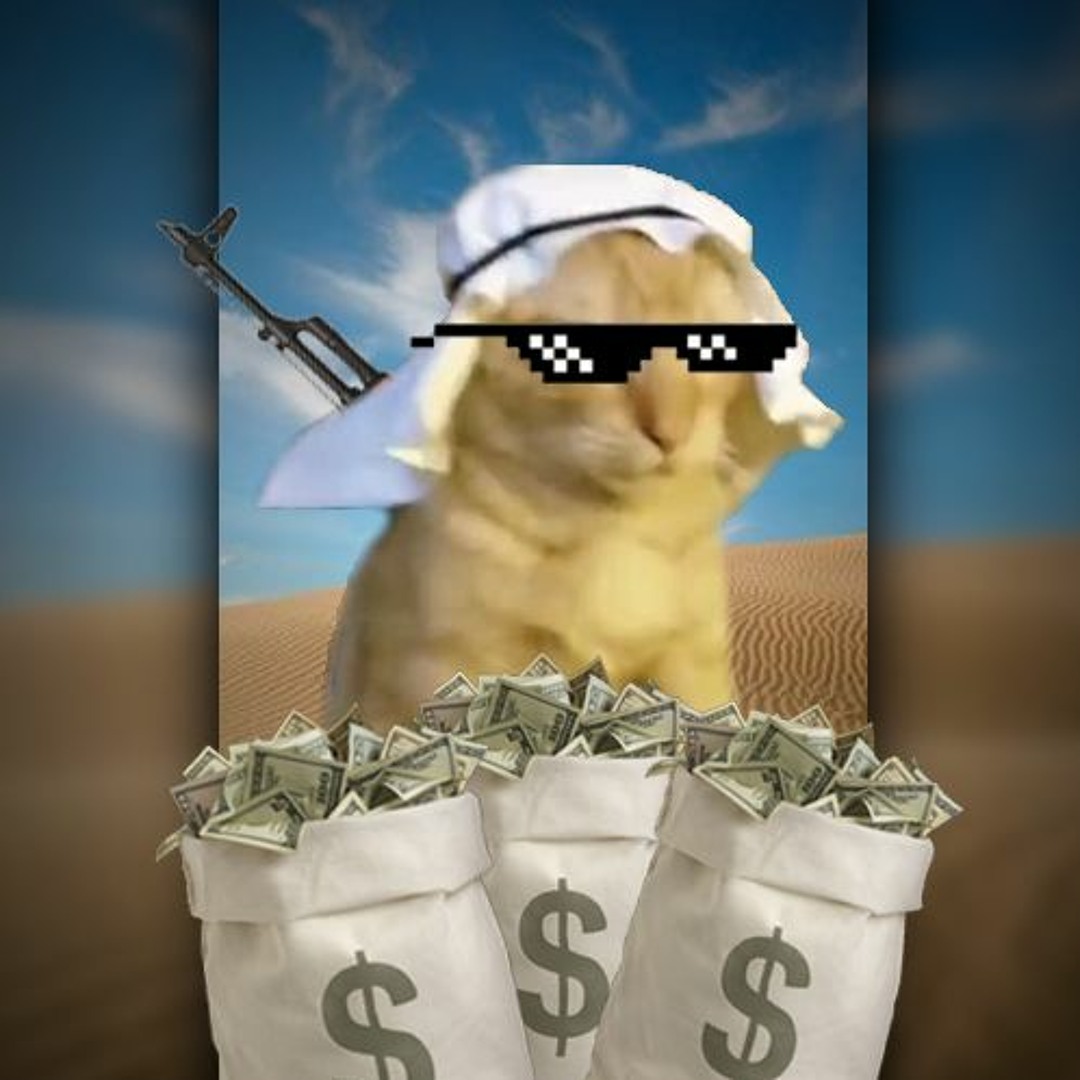 Stream Arabian Cat Meme Trap Remix by SL1X | Listen online for free on ...