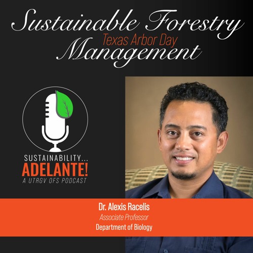 Stream Sustainability Adelante Episode 5: Sustainable Forestry ...