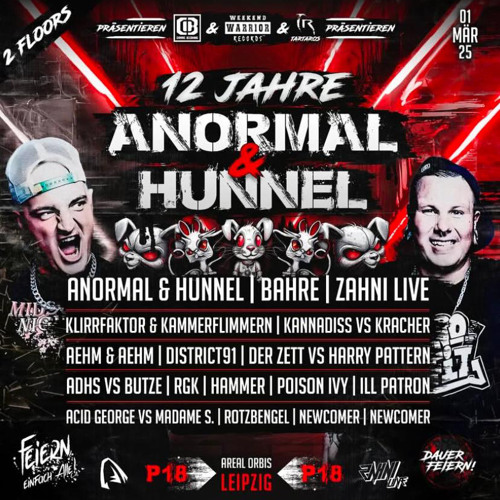 Stream RÖHRE & B3NZIN | 12 Jahre Anormal & Hunnel Promo Set by RÖHRE ...