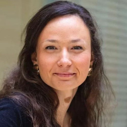 Stream {BONUS} - Les câbles sous-marins avec Camille Morel by Mon Carnet, le podcast | Listen ...