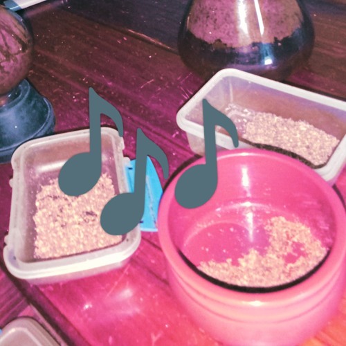 Stream gongo aso rmx🤝 by JaZZa B🤙 | Listen online for free on SoundCloud