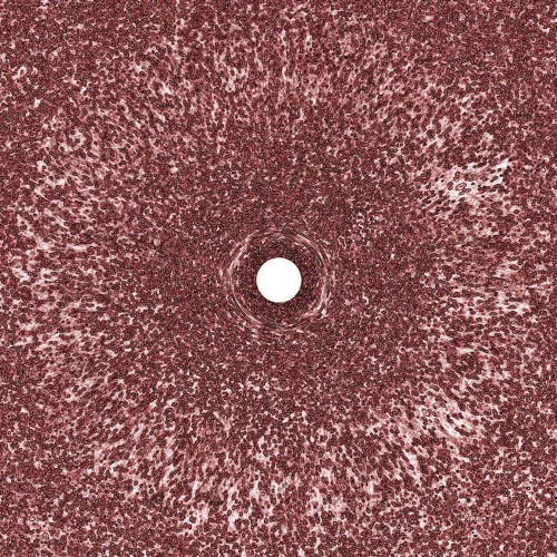 Stream The Valley by Lucas Grindley | Listen online for free on SoundCloud