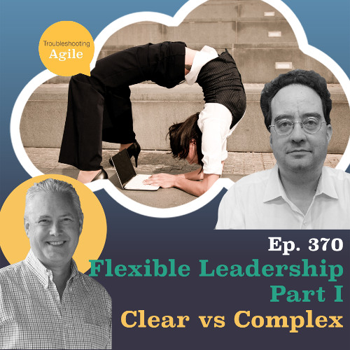 Stream episode Flexible Leadership Part I - Clear vs Complex by ...