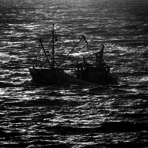 Stream The Sunset Ghost Waves by Deep Circuit Electro Miners | Listen ...