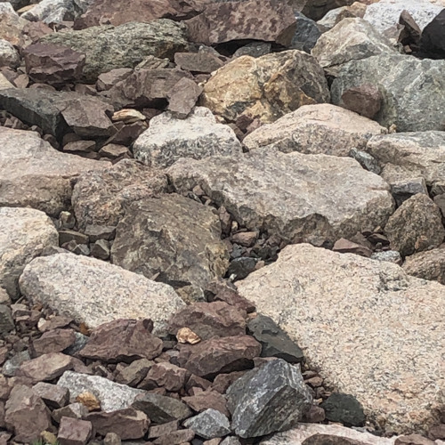 Stream Fresh by INJAE | Listen online for free on SoundCloud