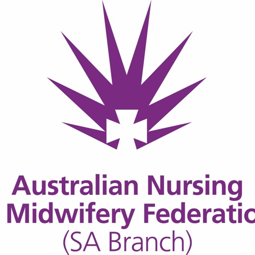 Stream Health department ‘couldn’t organise a chook raffle’ by ANMFSA ...