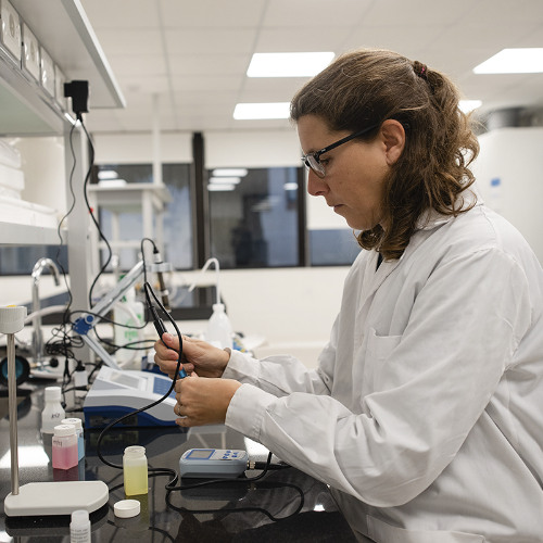 Stream Entrevista Mónica Marin by Casa de Radios | Listen online for ...