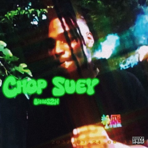 Stream Chop Suey (Prod. Riyu) by BinoSZN | Listen online for free on ...