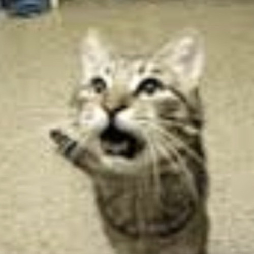 Chairy | FORC Wiki | Fandom