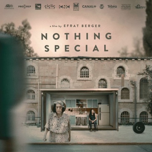 Stream Nothing Special - IX by Pierre Oberkampf | Listen online for ...