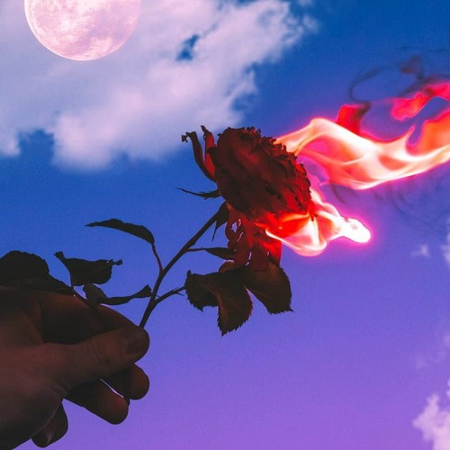 Stream Bullets. - Roses [shikaruma TEKK Edit] by shikaruma | Listen ...