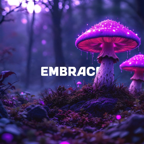 Stream Embrace Radio 13 (March 2025) by Mitch de Klein | Listen online ...