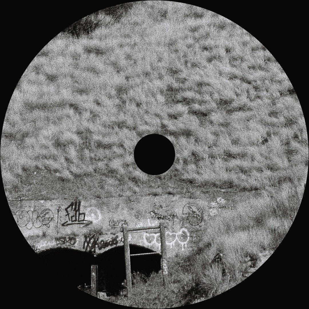 Stream SHELL A VERSE - FLOWDAN (RONOC REWORK) by RONOC | Listen online ...