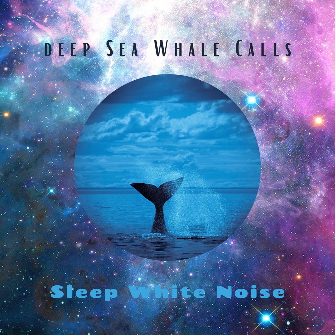 Stream Sleep White Noise | Listen to Deep Sea Whale Calls playlist ...