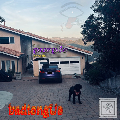 Stream badtongUe | Listen to in purple principle playlist online for ...