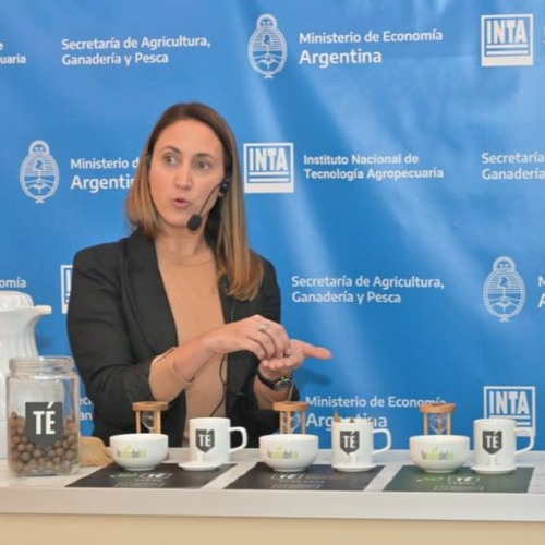 Stream El INTA celebró los 100 años del té en la Argentina con una ...