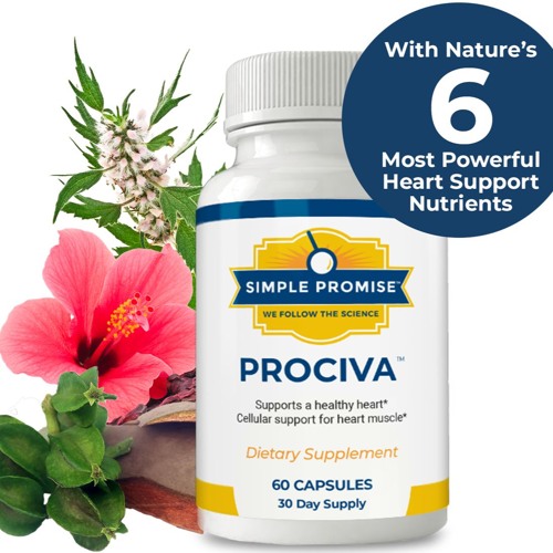 Stream Simple Promise Prociva : Buy Prociva & achieve Healthy Cardiac ...