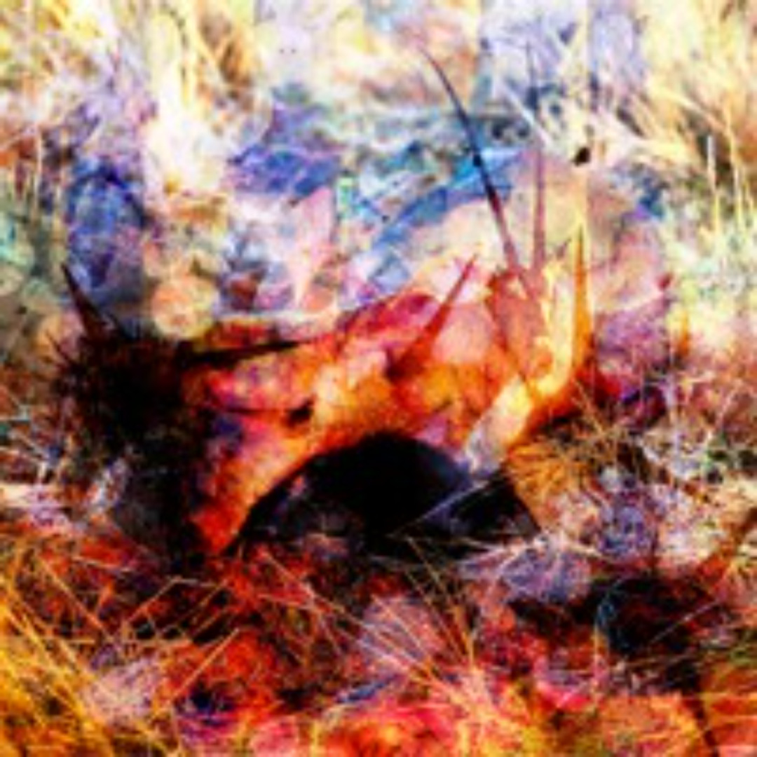 Stream The Oryx of the Aardvark Girl by Mystic Tape Deck | Listen ...